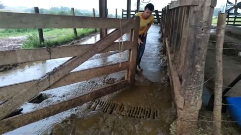 Rapando O Barracão Youtube