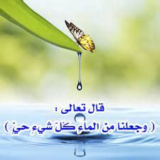 الثقافة العامة • الماءُ نبعُ الحَياة