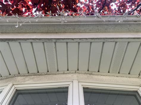 Would Bleach Get Rid Of This Black Gutter Mold Dont Think It Would