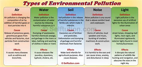 Types Of Environmental Pollution With Examples Selftution