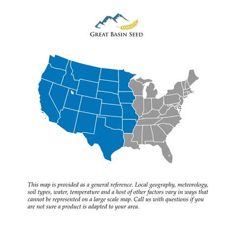 Ac Saltlander Green Wheatgrass Elymus Hoffmannnii