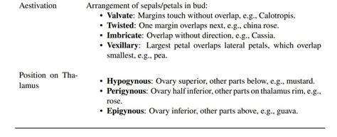 Cheat Sheet Morphology Of Flowering Plants Biology Class 11 Neet