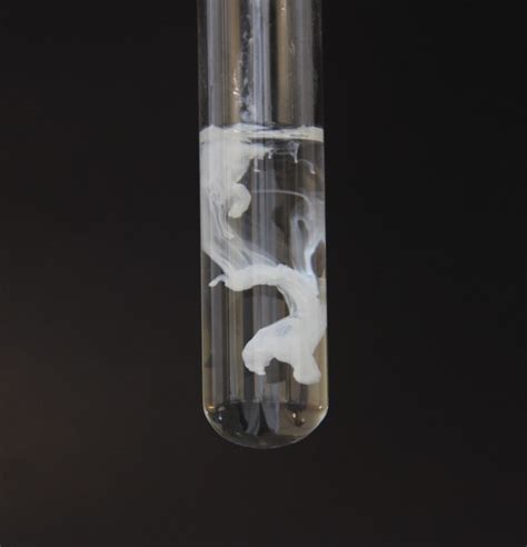 Difference Between Flocculation And Precipitation Definition Properties Uses And Differences