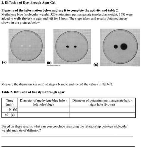 2 Diffusion Of Dye Through Agar Gel Please Read The Information Below And Use It To Complete The