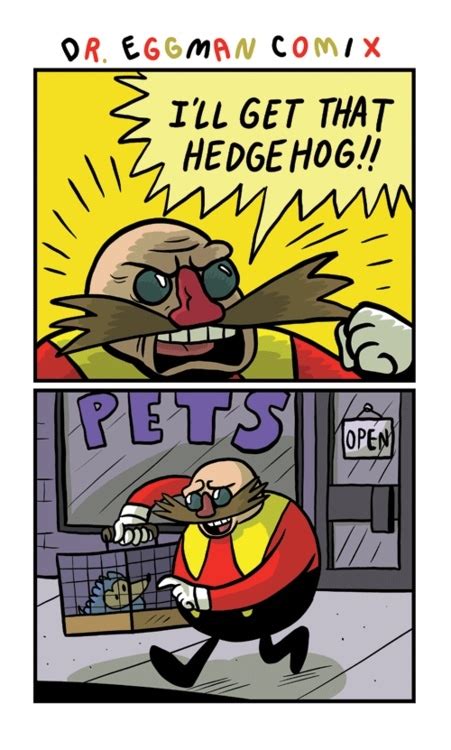 The Best Eggman Memes Memedroid