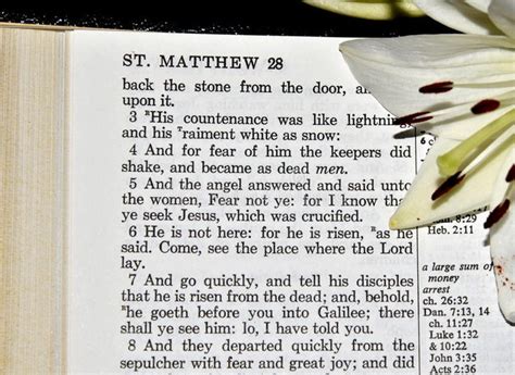 He Is Risen Scripture Quote