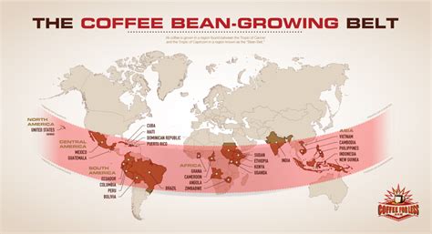 Where Do The Best Coffee Beans In The World Come From