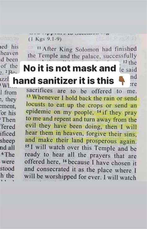 Overview For Mavis Dibs