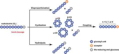 Schematics Of Disproportionation Cyclization Coupling And Hydrolysis Download Scientific