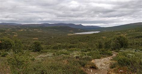 Ljungdalen Album On Imgur