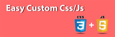 Easy Custom Cssjs Plugin —