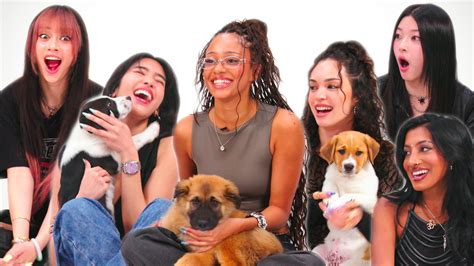 Katseye The Puppy Interview Trending Online