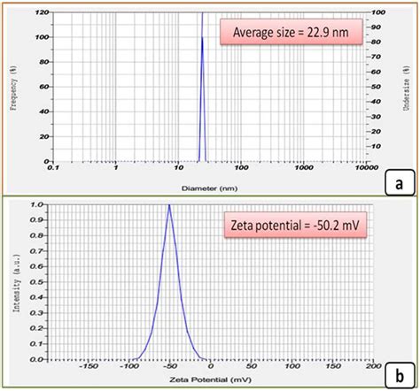 Dls Analysis Of The Synthesized Au Nps A Average Nps Size And B