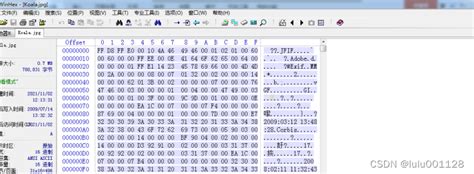 电子数据保全及数据恢复winhex数据恢复教程 Csdn博客