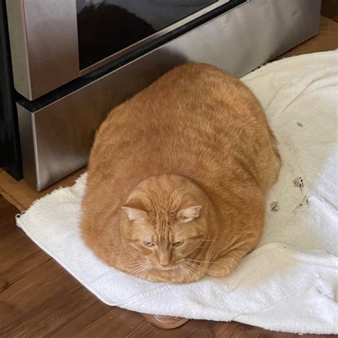 Sass Is An Art Form Raww