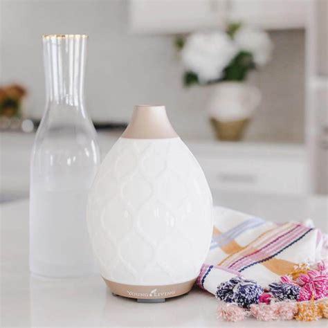 Top 5 Questions About The Desert Mist Diffuser