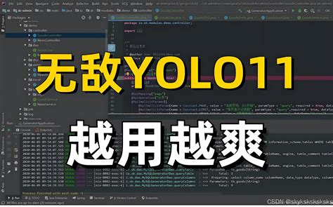 yolov11从入门到精通：环境搭建、训练技巧与实战应用全解析 yolov11入门到精通 csdn博客