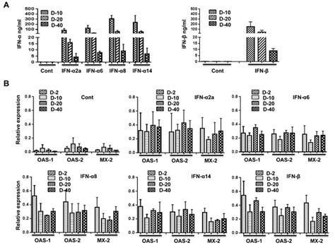 Oncotarget Gene Therapy With Plasmids Encoding Ifn β Or Ifn α14