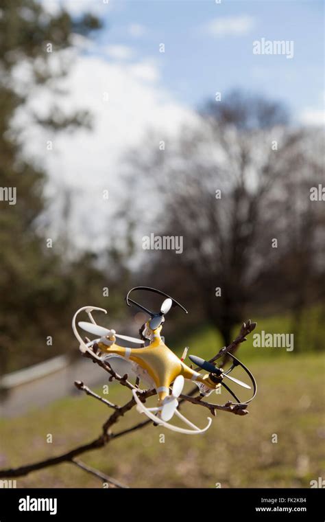 Drone Quadcopter Accident Scene DRONE Quadrocopter Crashed On Tree In City Park Stock Photo Alamy