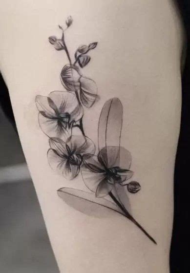 Orchid Tattoo On Thigh Tatuajes De Flor Orquídea Orquideas Tatuaje