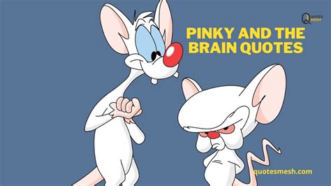 Pinky And The Brain Quotes