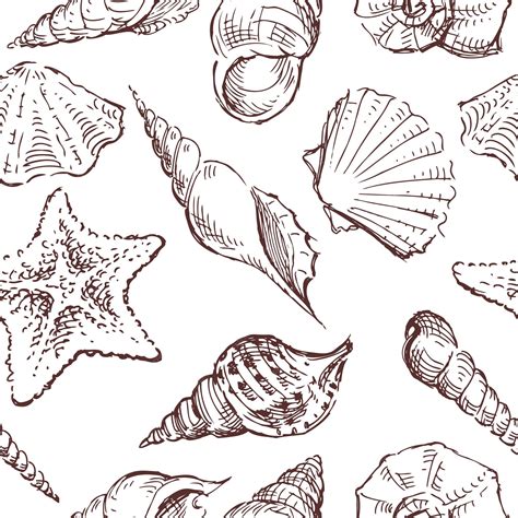 Premium Vector Seamless Pattern Of Outlines Various Seashells