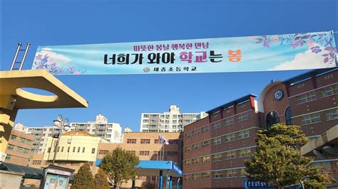 세종초 가람반 채람이들 개학 브이로그v Log Youtube