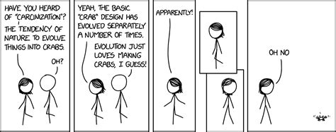 Xkcd Wtf Carcinization