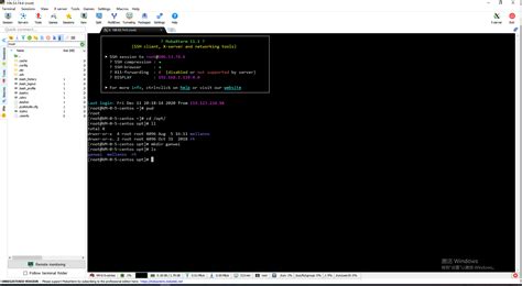linux安装 开发者中心