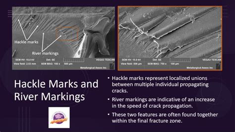 Plastics Plasticsengineering Polymerscience Materialsscience