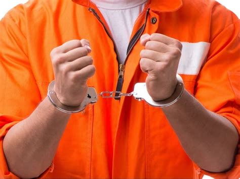 Owner Whose Dog Died After Firework Exploded In Its Mouth Arrested St