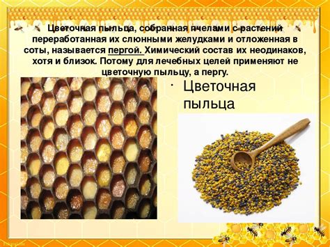 Полезные свойства пчелиной пыльцы