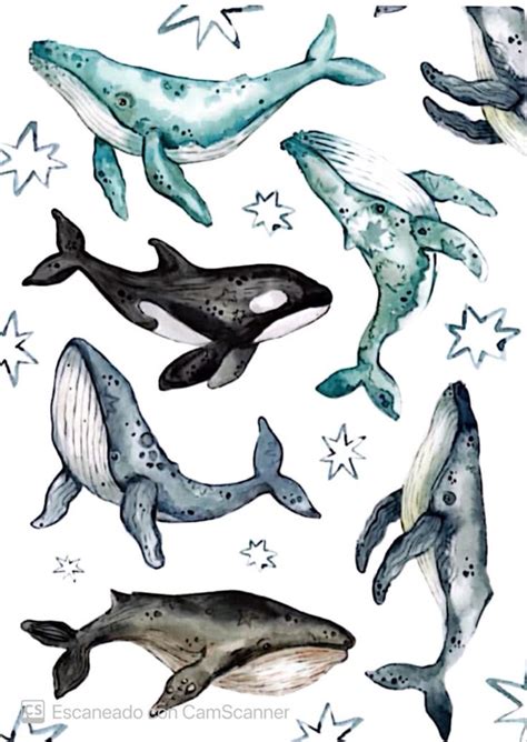 Dibujo De Acuarela De Ballenas Y Estrellas