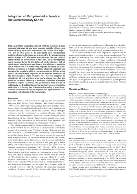 Pdf Integration Of Multiple Whisker Inputs In Rat Somatosensory Cortex