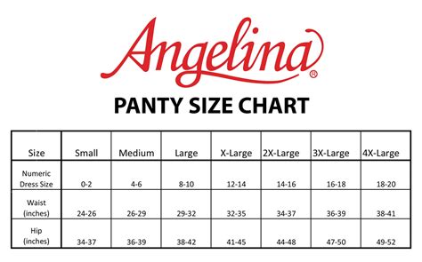 Angelina Nylon Laser Cut High Waist Full Coverage Briefs Angelinashop