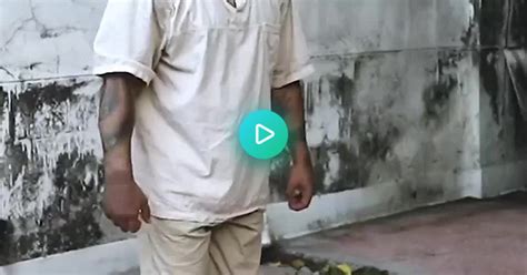 Tai Chi Monkey Fist Sequence Album On Imgur