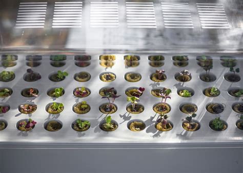 Ikea Moves Into Indoor Gardening With Hydroponic Kit