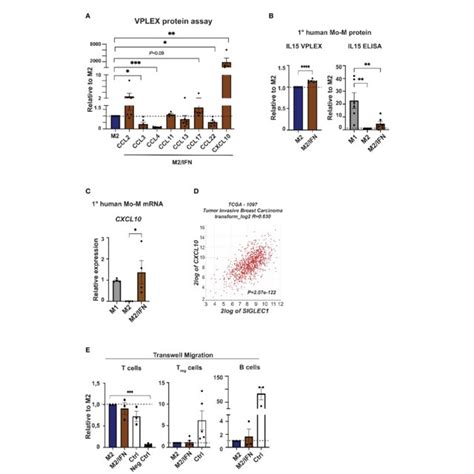 Chemokine Profile Of Cd169 Mo M A Chemokine Analyses Were Download Scientific Diagram