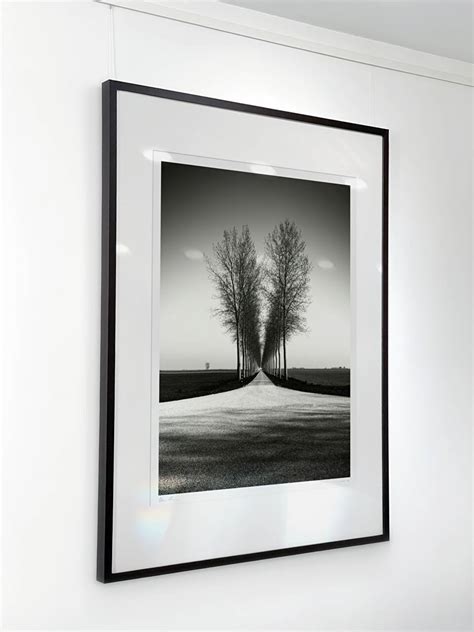 Trees Alignment Etude 2 Friesland Netherlands April 2015 Ref 11645