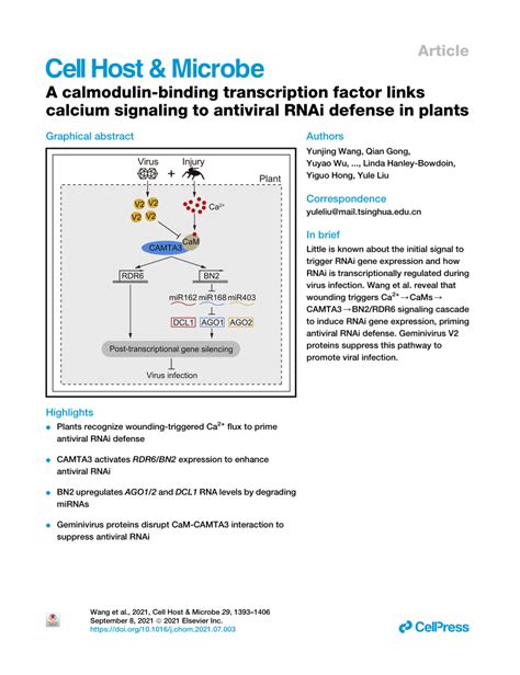 Pdf A Calmodulin Binding Transcription Factor Links Calcium Signaling To Antiviral Rnai