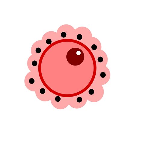 óvulo De Hembra Humana 8975840 Vector En Vecteezy