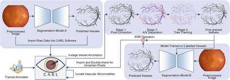 The Proposed Workflow For Generating Fine Grained Vessel Annotations