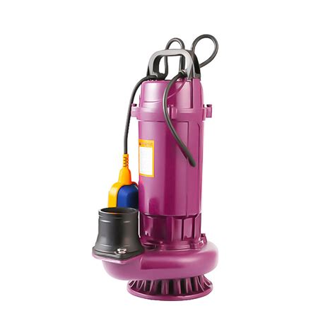 China Best Brands Water Pump Qdx 3 Inch Diameter Submersible Pumps Submersible Pumps And 3