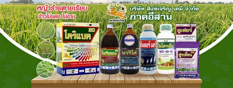 Motec Wheel Thailand Added A New Photo Motec Wheel Thailand