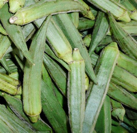 Mamtas Kitchen Bhindi Okra Ladies Fingers Do Pyaza Bhaji Sabji