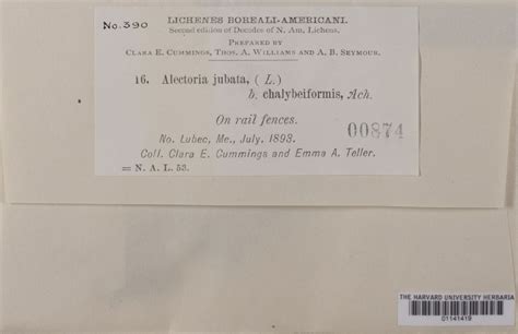 Consortium Of Lichen Herbaria Occurrence Profile