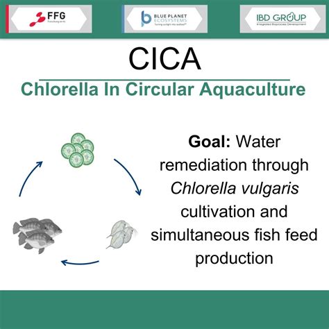 Ibd Group On Linkedin Blueplanetecosystems Aquaculture Microalgae