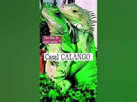 Casal Calango Não Mais Youtube