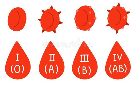 Blood Drops With Transfusion Type Icons Platelet Cells Thrombocyte