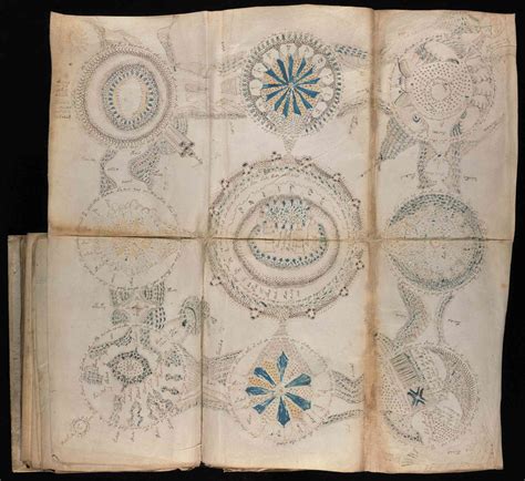 Voynich Manuscript Finally Decoded Medieval Sex Secrets May Hide In